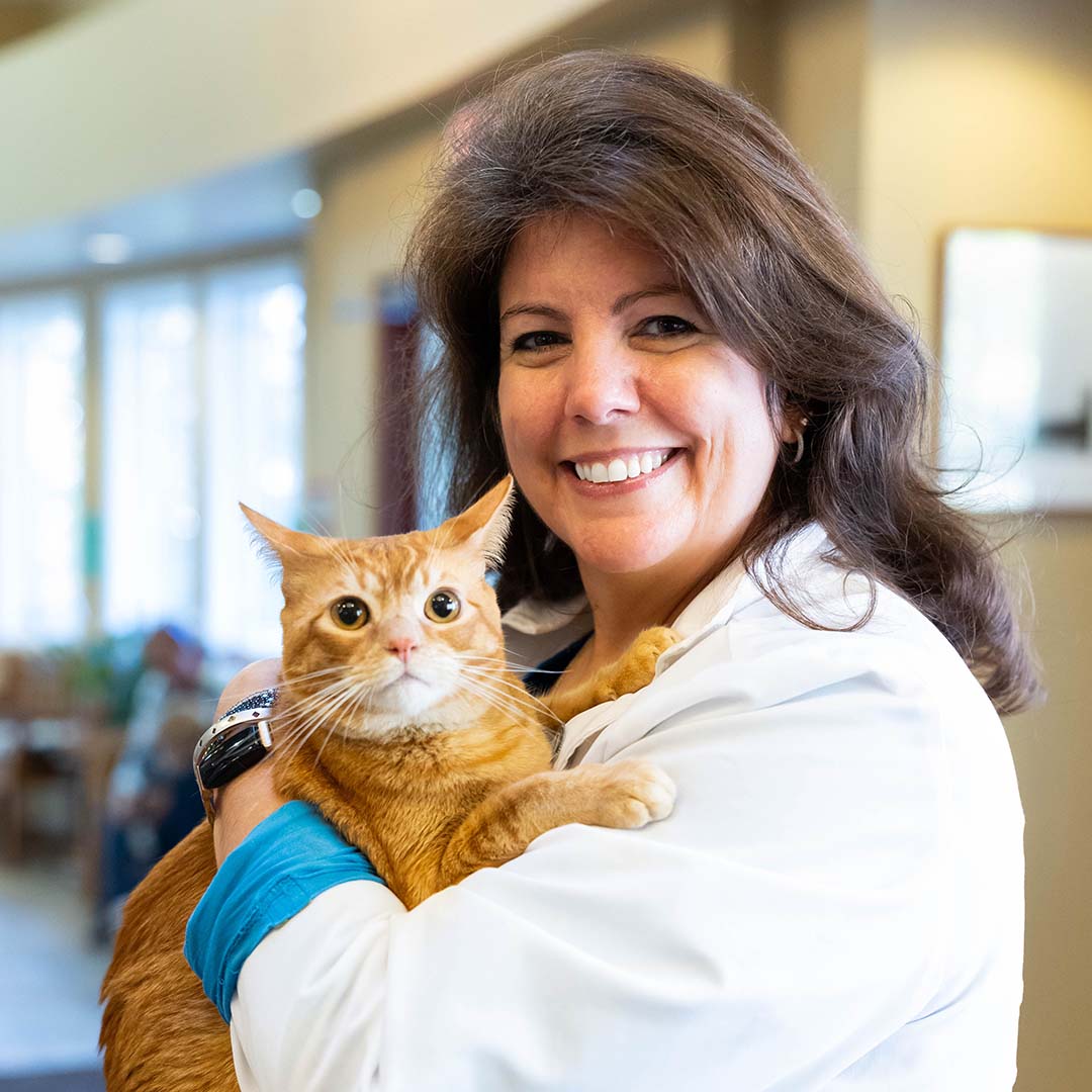 Jennifer Feeney, DVM, UW-AAB | Bridgewater Veterinary Hospital