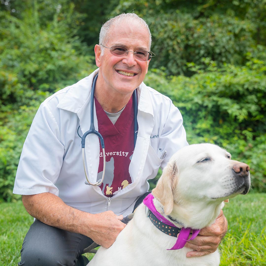 Our Veterinarians in Bridgewater, NJ | Bridgewater Veterinary Hospital