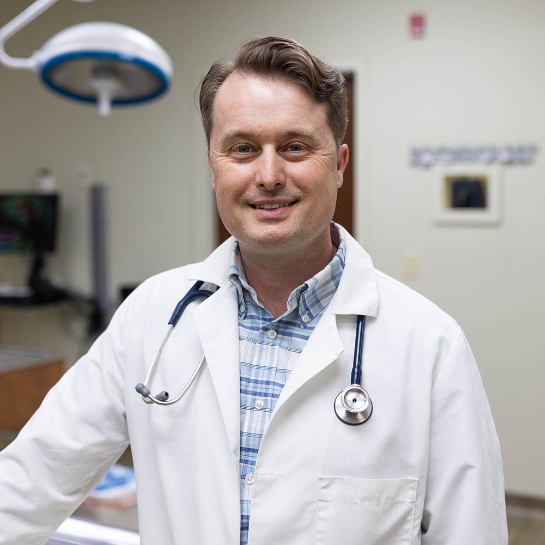 M.J. Hamilton, DVM, DACVIM(O) | Bridgewater Veterinary Hospital