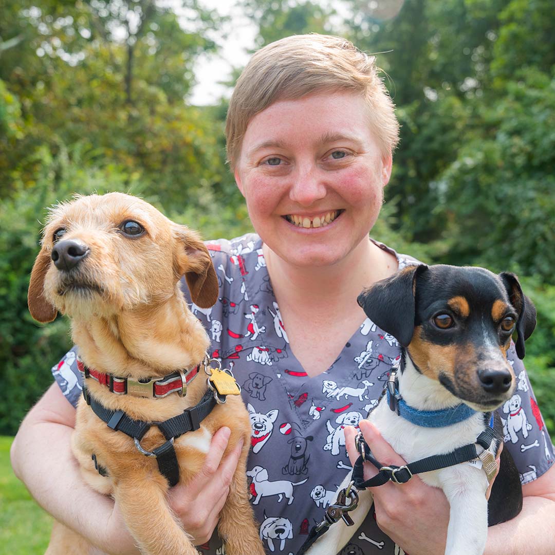 Our Staff in Bridgewater, NJ | Bridgewater Veterinary Hospital