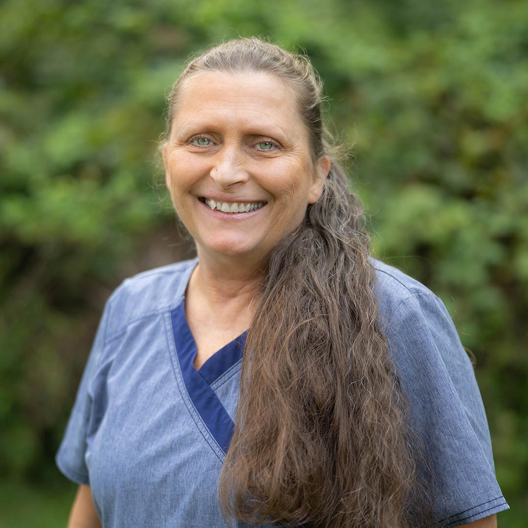 Tara | Bridgewater Veterinary Hospital